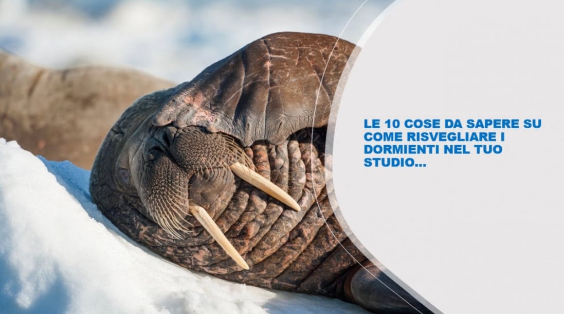 10 cose da sapere su come risvegliare i dormienti nel tuo studio